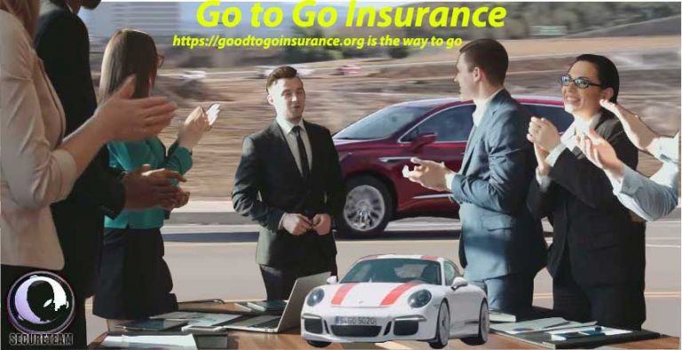 Auto Insurance Quotes | Compare Plans Online | Go to Go Insurance